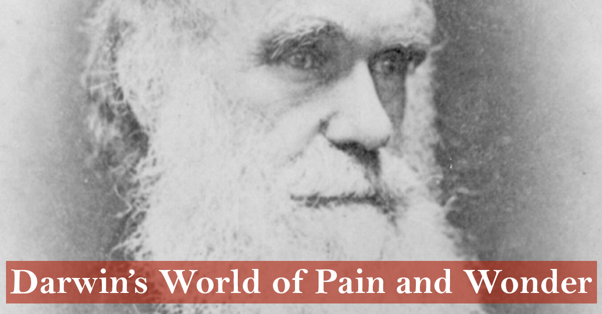 Darwin's World of Pain and Wonder - The New Atlantis