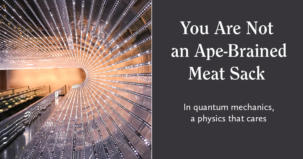 You Are Not an Ape-Brained Meat Sack — The New Atlantis